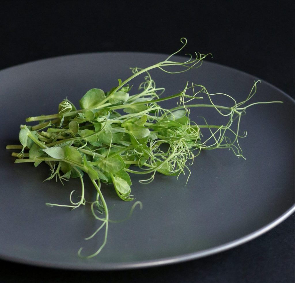 Microgreens - Delicious and Nutritious | Arable Grow